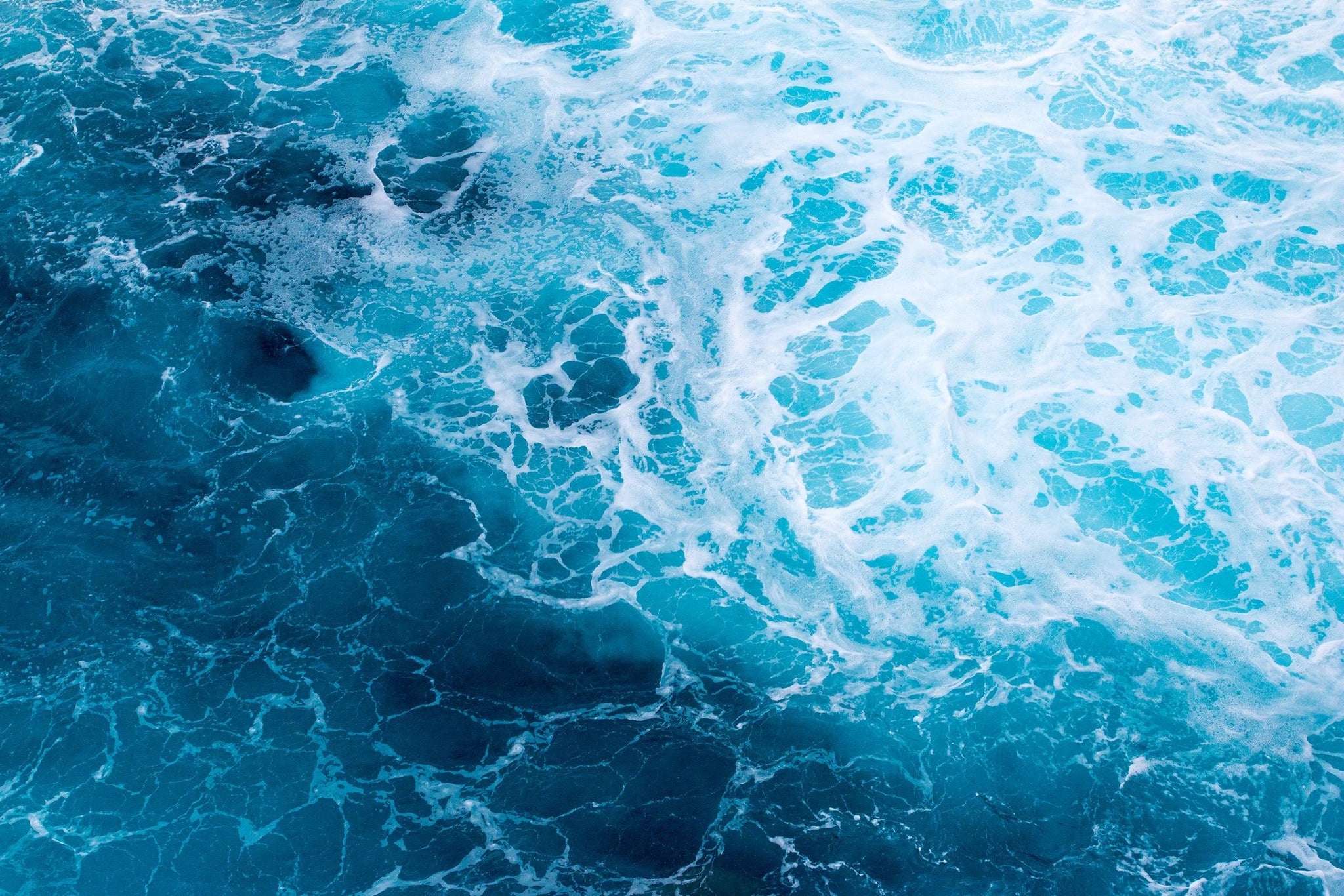 Plastic Pollution Affects Sea Life Throughout The Ocean Natracure